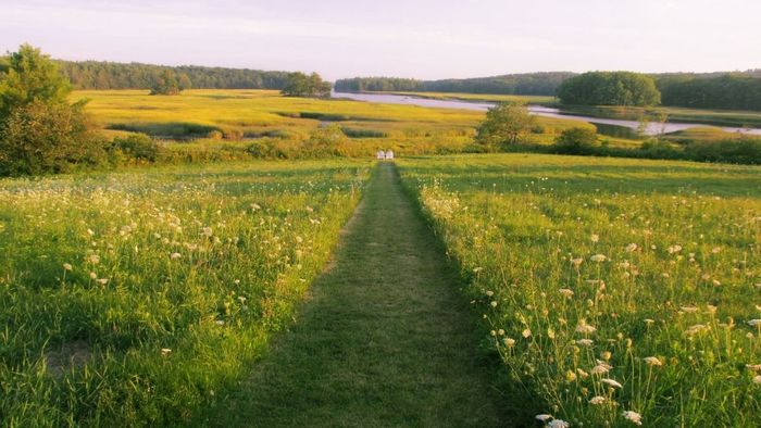 Khám phá bộ sưu tập hơn 50 bức ảnh tuyệt đẹp về Tây Ninh, mang đến những cảnh sắc ấn tượng và ...